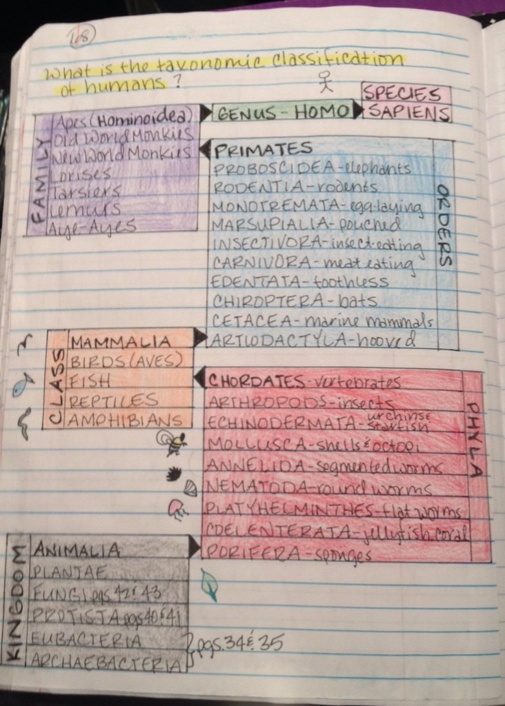 » 68 – human taxonomy explore. more.