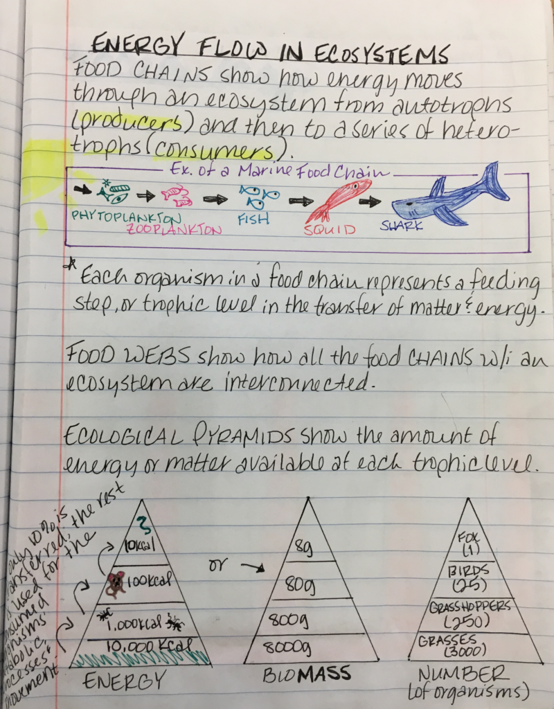 » energy flow notes explore. more.